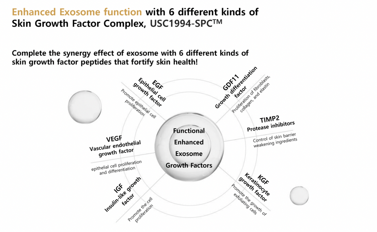 P198 ExoHealer FILCORE SB Lyophilized Exosome - Cell Booster ...